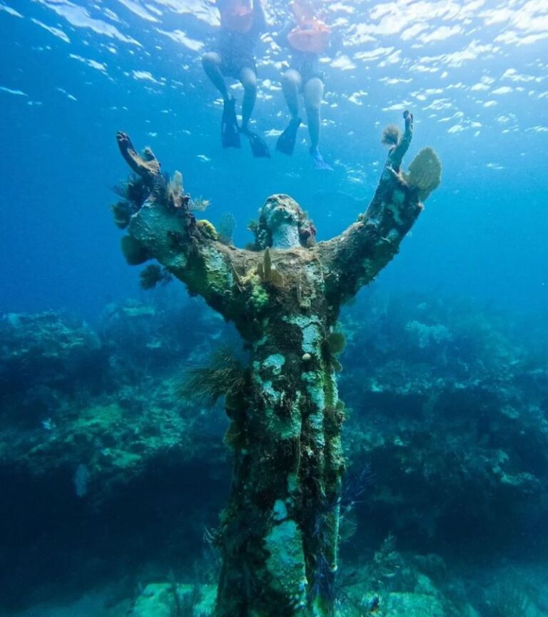 11 Must-See Florida Coral Reefs For Snorkeling Adventures