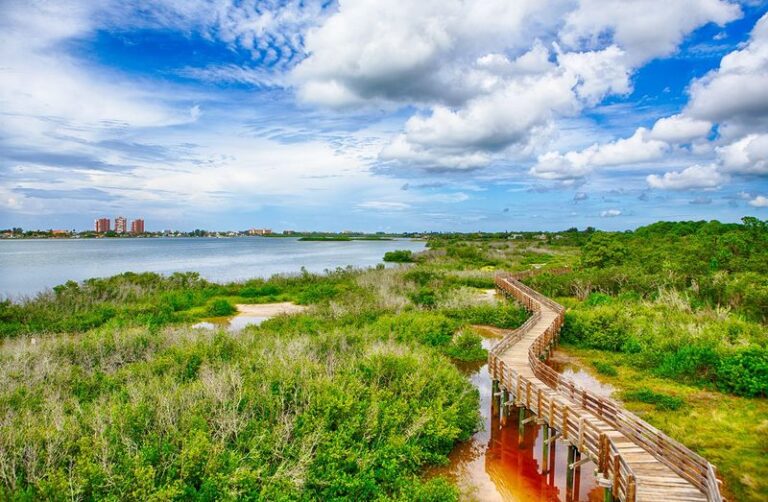 12 Hidden Florida Nature Preserves That Few Visitors Ever See