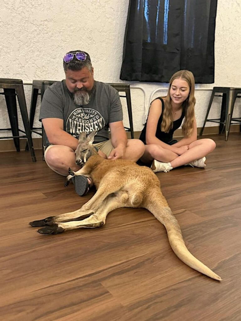 Bounce Into Wildlife Fun At A Colorado Kangaroo Ranch