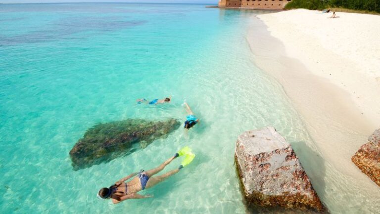 11 Must-See Florida Coral Reefs For Snorkeling Adventures