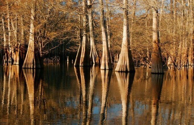 12 Hidden Florida Nature Preserves That Few Visitors Ever See