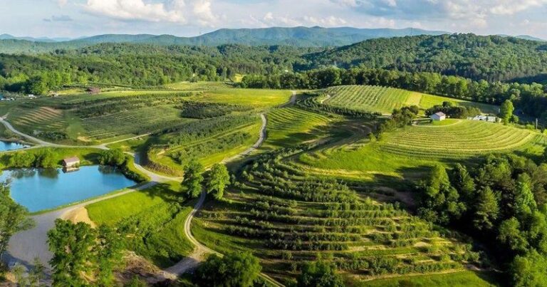 This Blue Ridge Orchard In North Georgia Just Cracked America's Top 5 ...