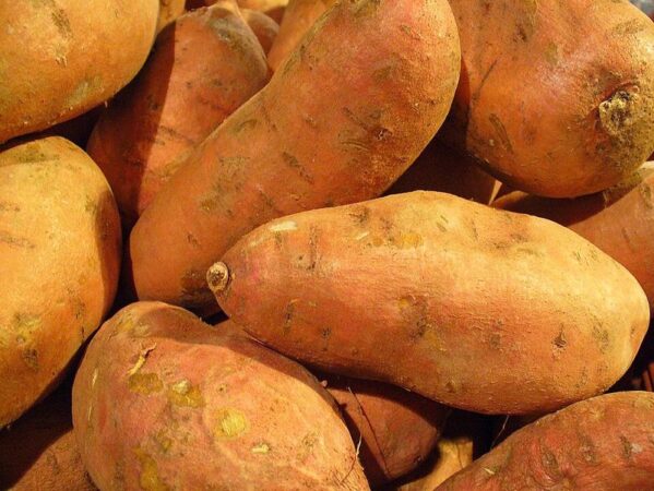 18 Native American Foods That Shaped Cuisine Before European Came