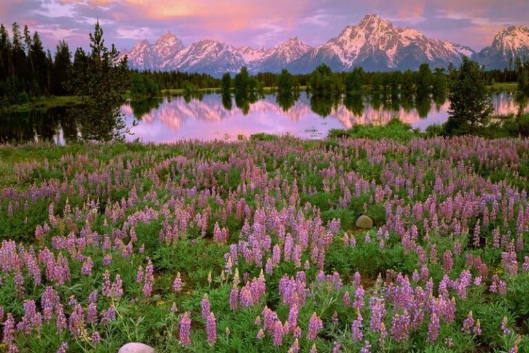 10 Stunning Wyoming Destinations Beyond Yellowstone National Park