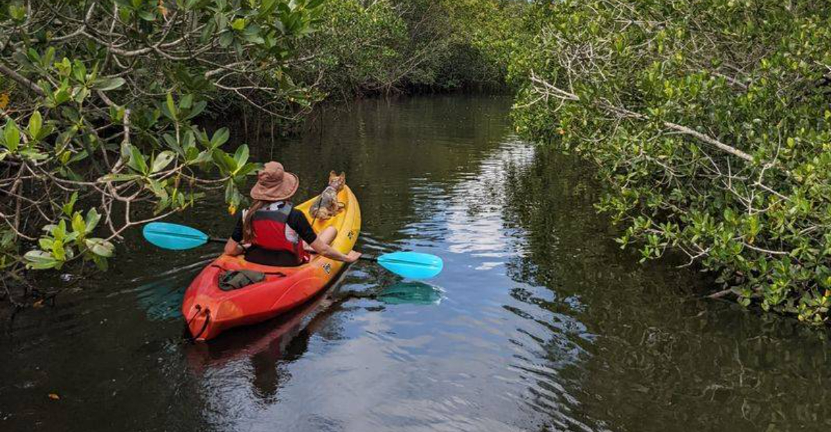 10 Things To Do In Matlacha, Florida