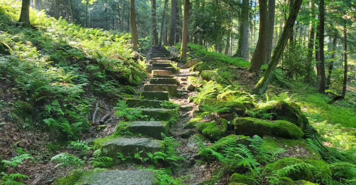 13 Pennsylvania State Parks Known For Their Vast Scale And Ease Of ...