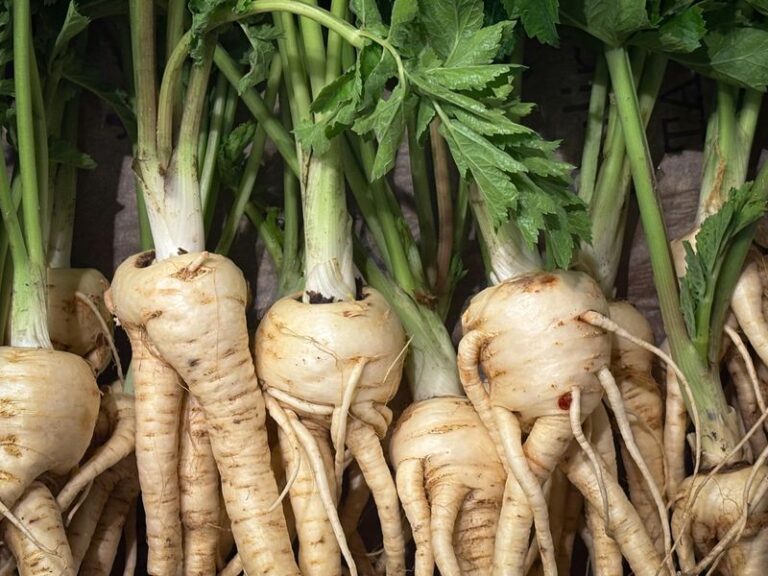 20 Of The Worst Vegetables For Your Health, According To Nutritionists