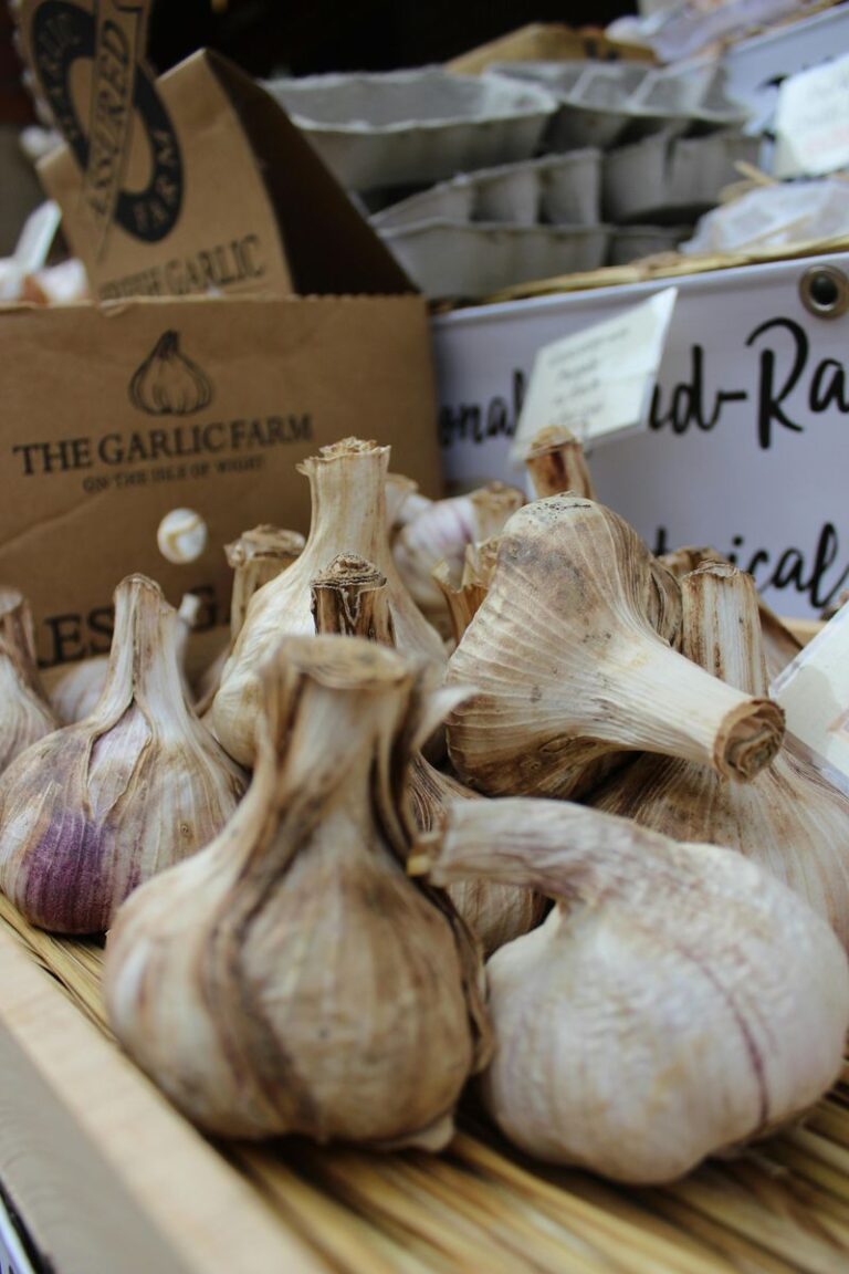 10 Powerful Health Benefits You Get From Garlic
