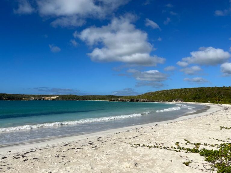12 Vieques Island Spots Known For Beaches, Wildlife, And Quiet History