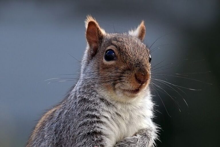 15 Famous People With Some Of The Most Unusual Pets You Have Ever Seen